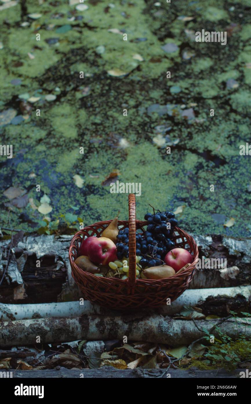Close up fruit basket in front of algae-affected water concept photo ...
