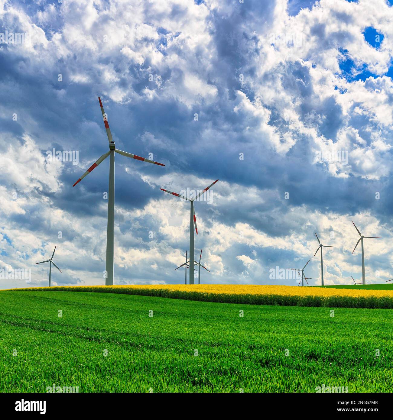 Wind turbine in a rural area, wind turbines on a field in spring ...