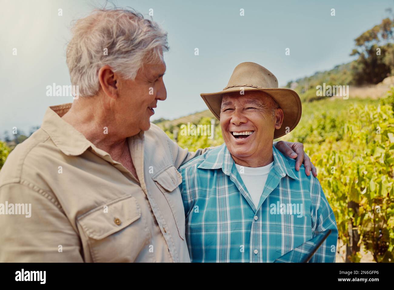 Two happy senior farmers standing and embracing on their vineyard ...