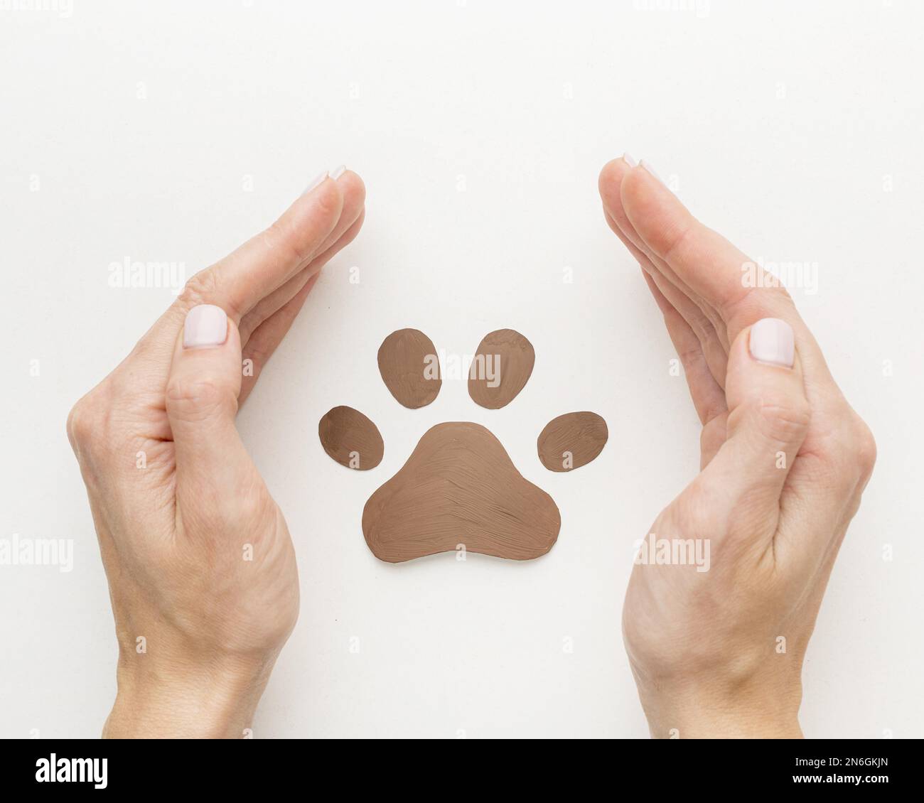 top view of hands protecting paw print for animal day. Resolution and ...