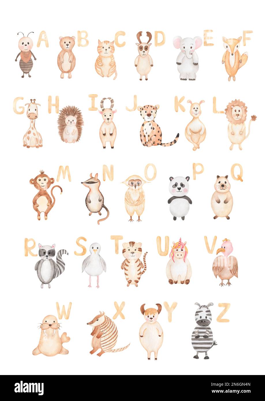Watercolor hand painted english animal alphabet. Modern trendy ...