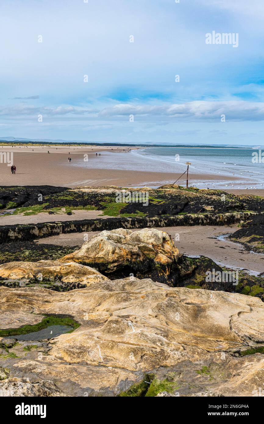St Andrews beach, St. Andrews, Scotland, UK Stock Photo - Alamy