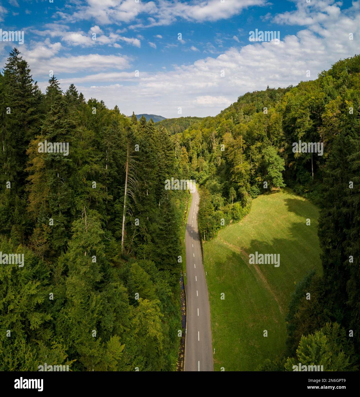 Road through a forest with clearing, aerial view, Ruenenberg, Basel ...