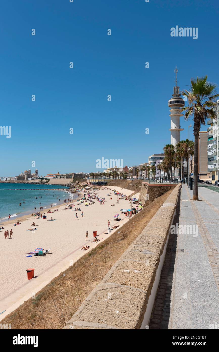 Beach promenade in Cadiz, Andalusia, Spain Stock Photo - Alamy