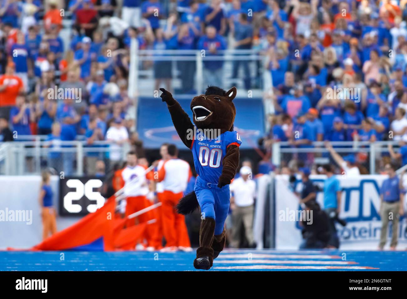 Boise State mascot Buster Bronco runs onto the field before an NCAA ...