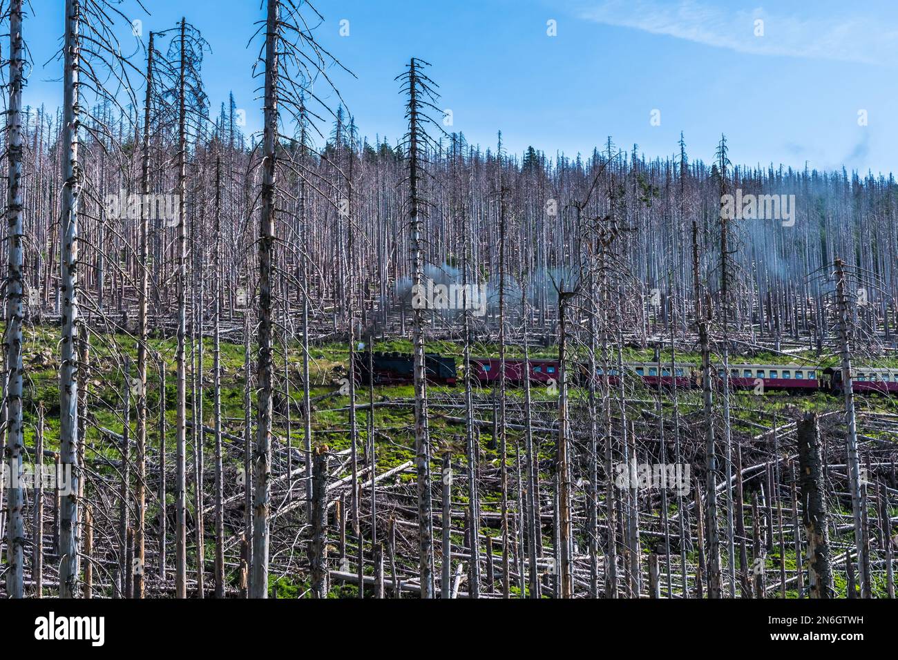 The narrow-gauge railway Brockenbahn in the German low mountain range ...
