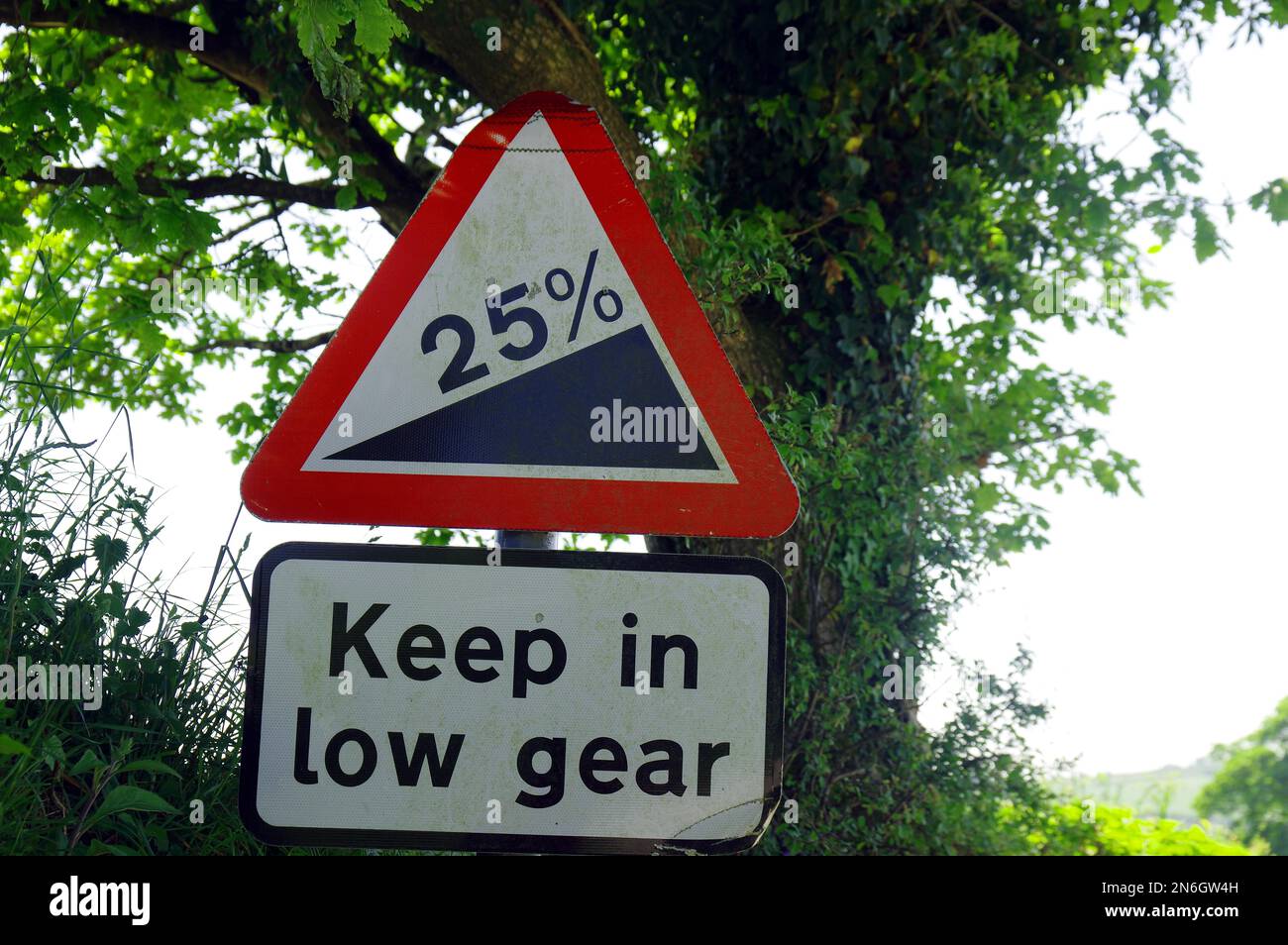 Road sign, 25% gradient, trees, New Plymouth, Cornwall, Great Britain ...