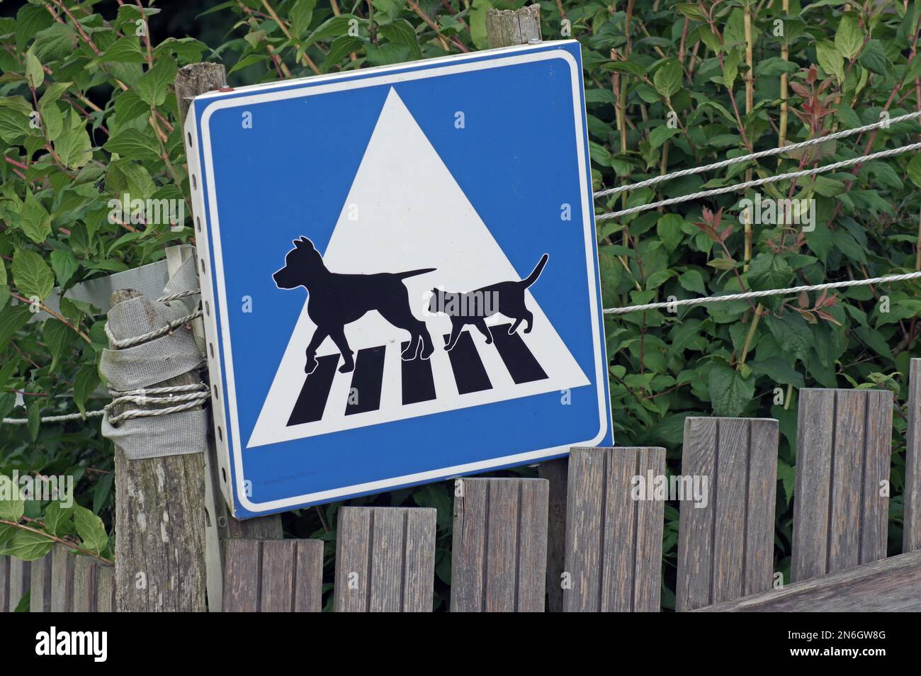 Self-made traffic sign with dogs and cats, Skane, Sweden Stock Photo ...