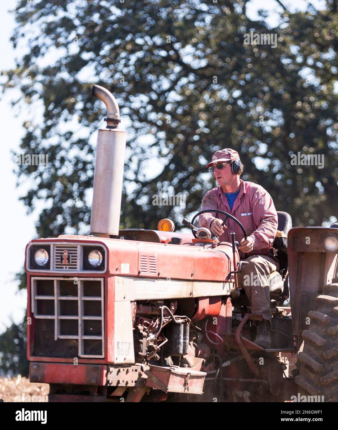 Tom Duerst drives his tractor planting winter wheat at his farm near ...