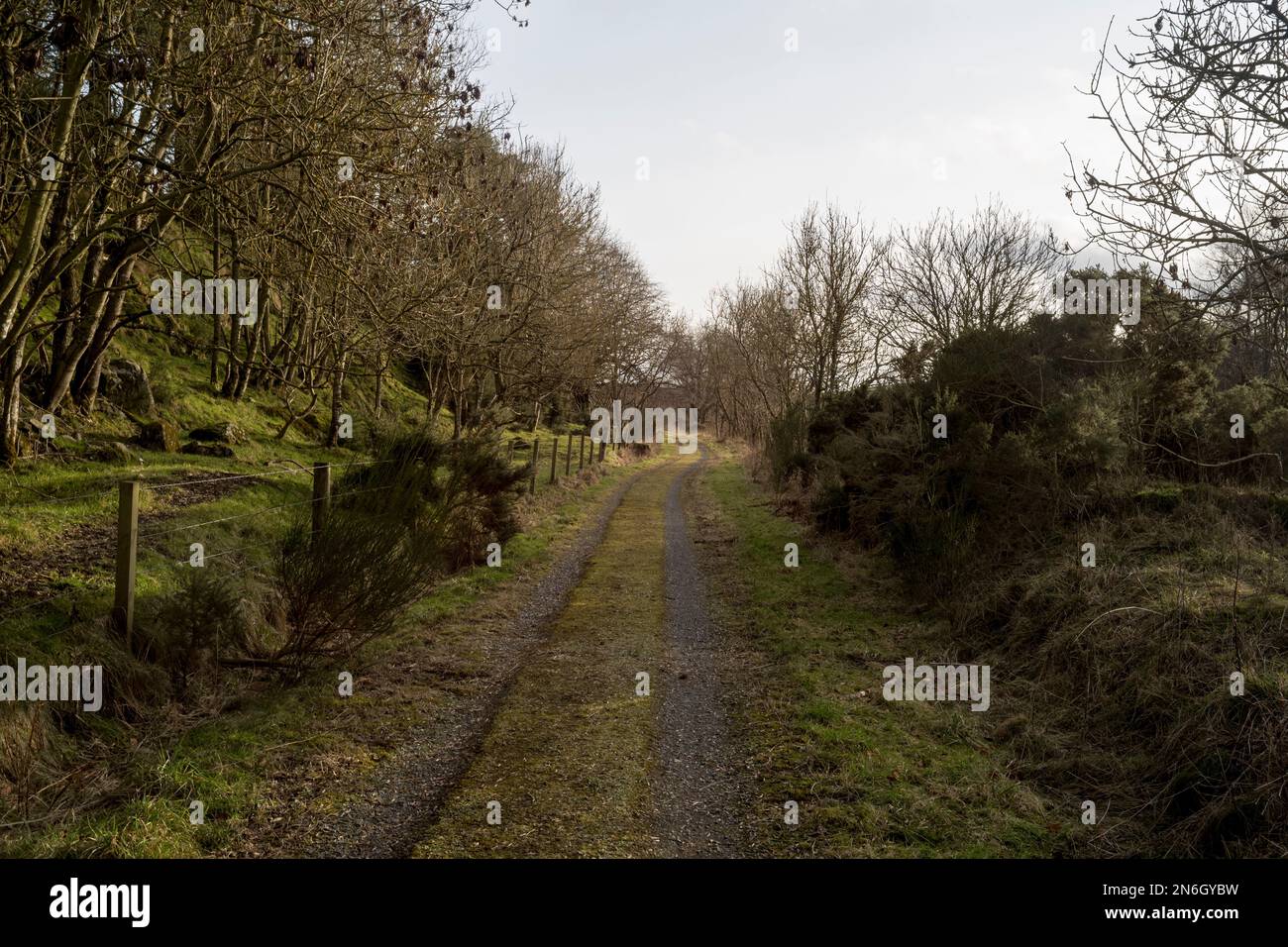 The Formatine and Buchan Way near Auchnagatt Aberdeenshire Stock Photo ...