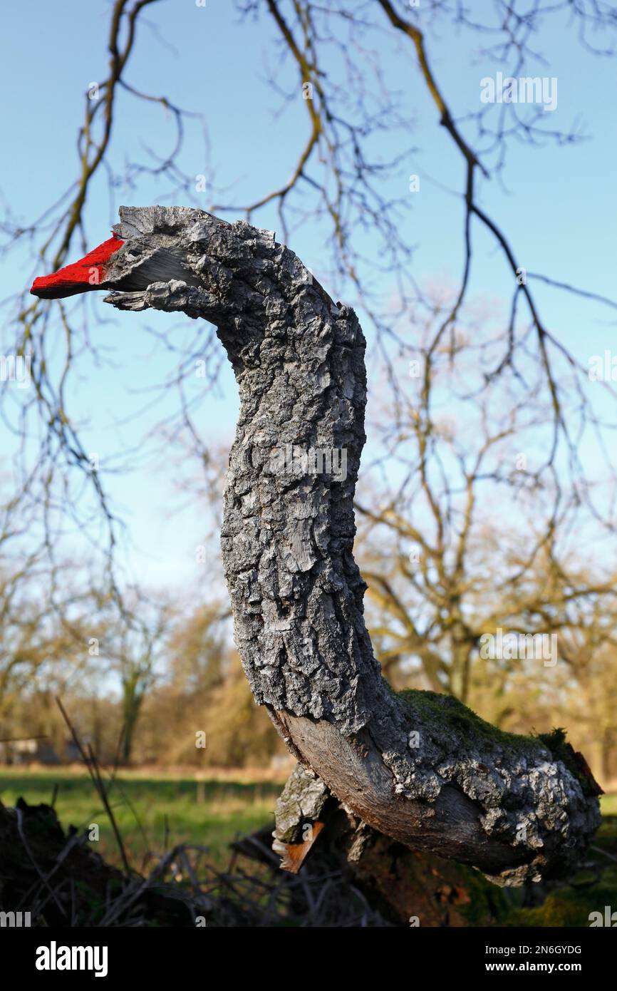 Art in the open landscape on natural structures, oak branch painted as ...