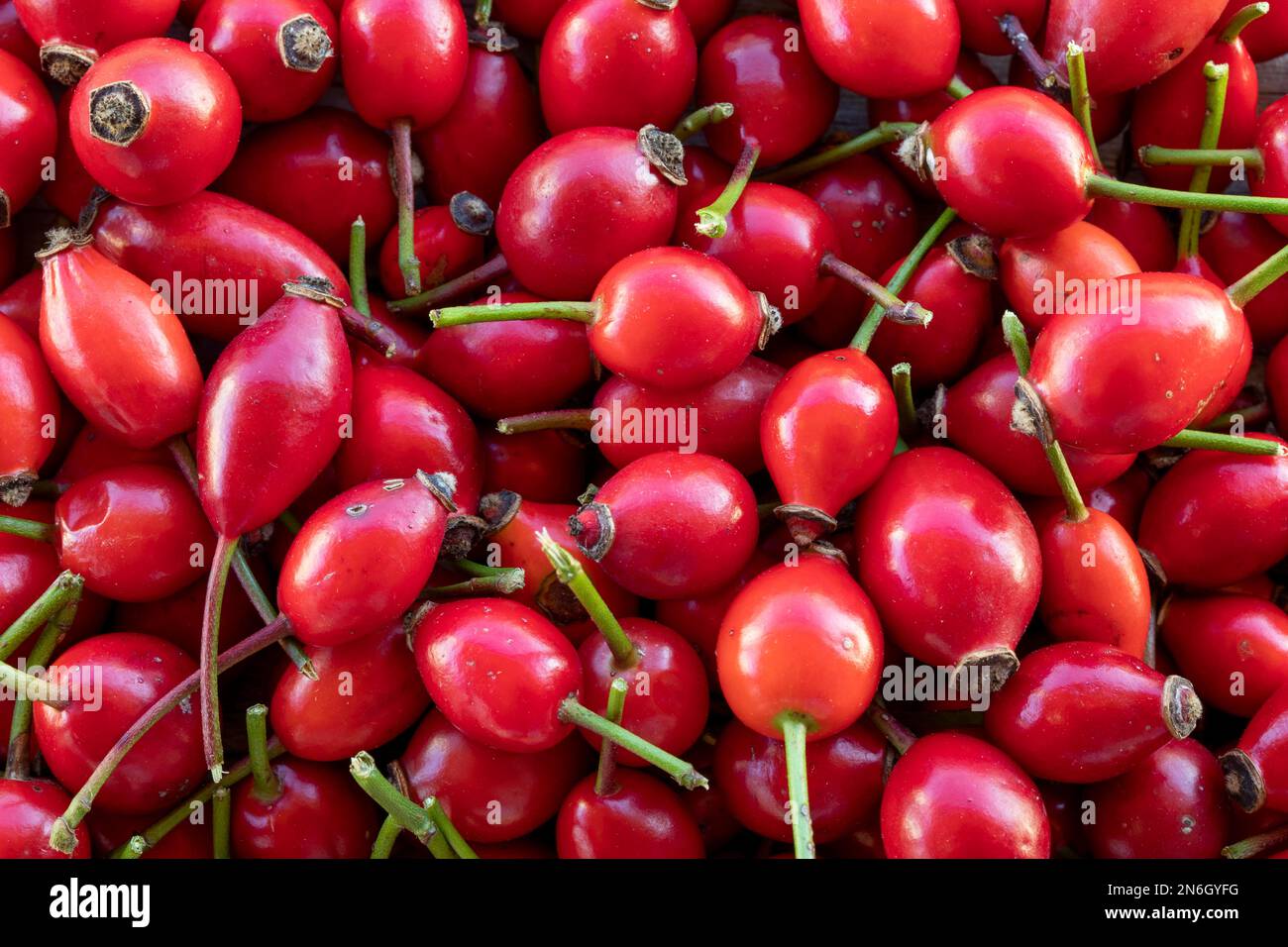 Close up view hips hi-res stock photography and images - Alamy