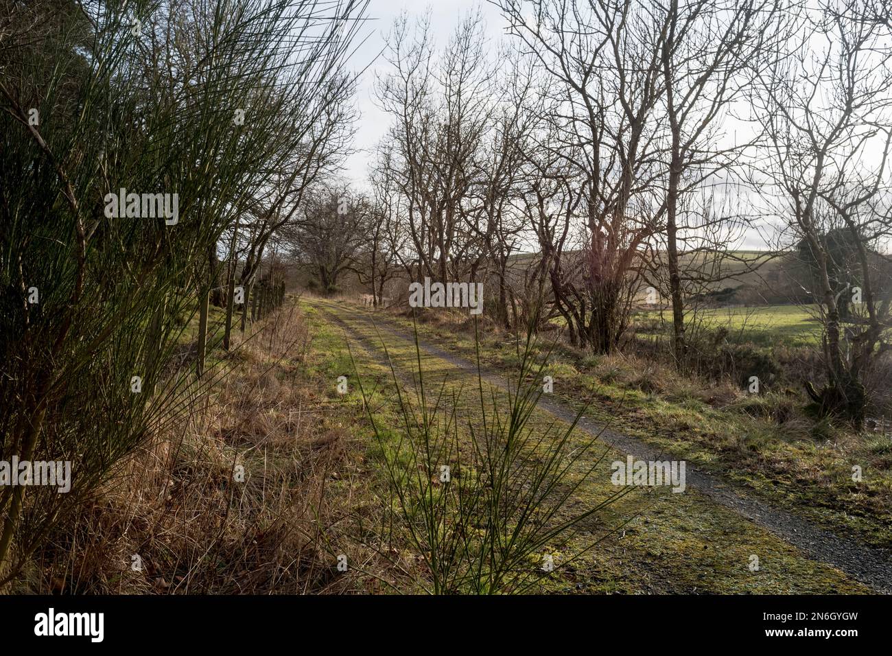 The Formatine and Buchan Way near Auchnagatt Aberdeenshire Stock Photo ...