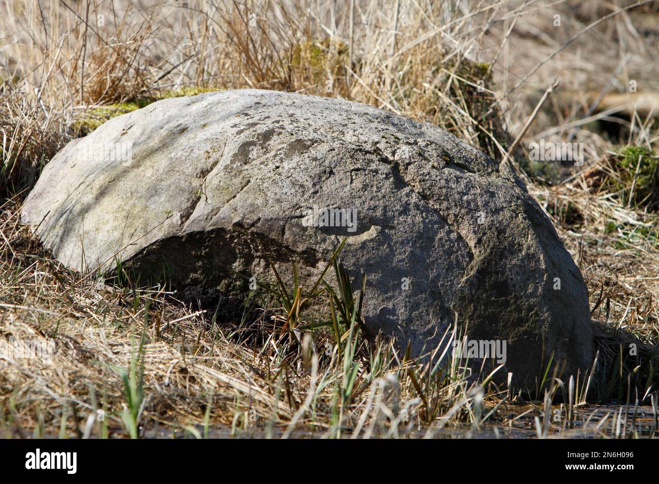 Glacial erratic central park hi-res stock photography and images - Alamy