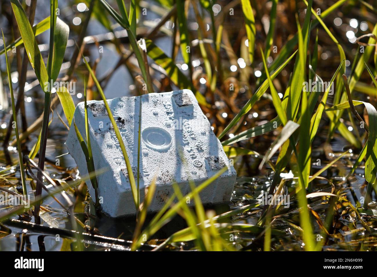 Styrofoam packaging for dew worms, angler waste in the environment ...