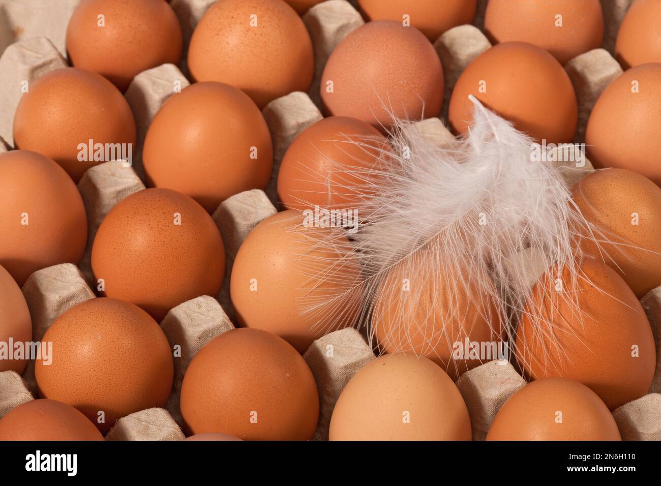 Eggs, Chicken eggs, Food Stock Photo - Alamy