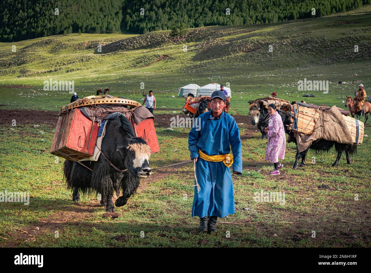 The nomadic family moves with yaks in the summer. Bayanhongor Province ...