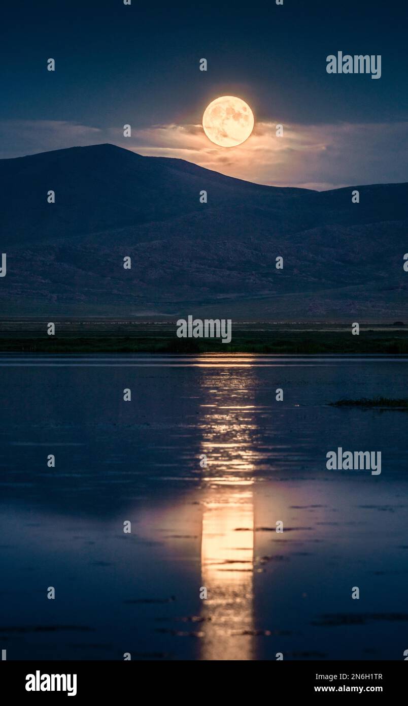 The summer full moon reflection. Bayanhongor Province, Mongolia Stock ...