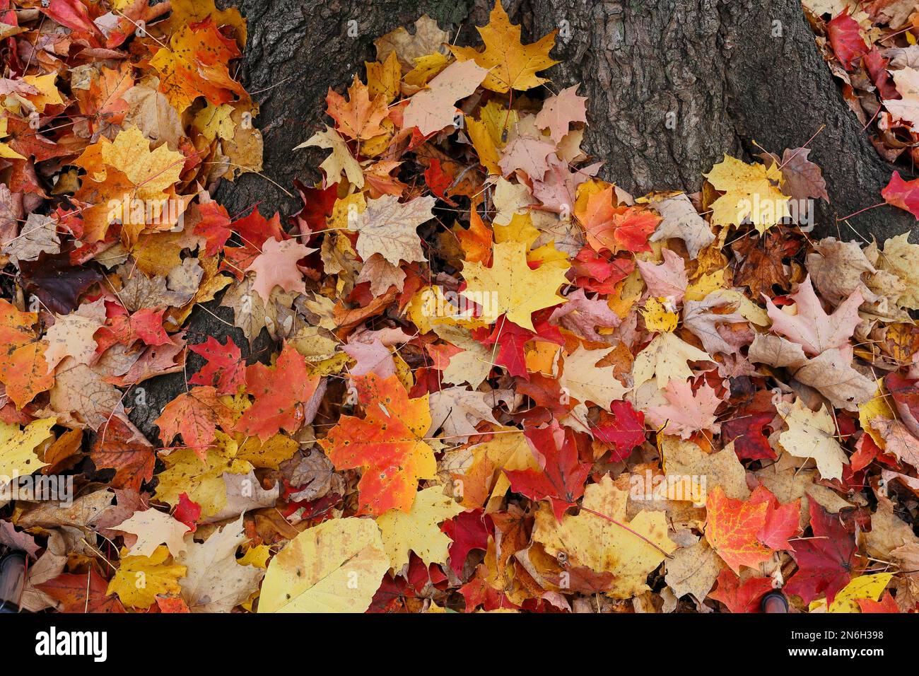 Provinz québec hi-res stock photography and images - Alamy