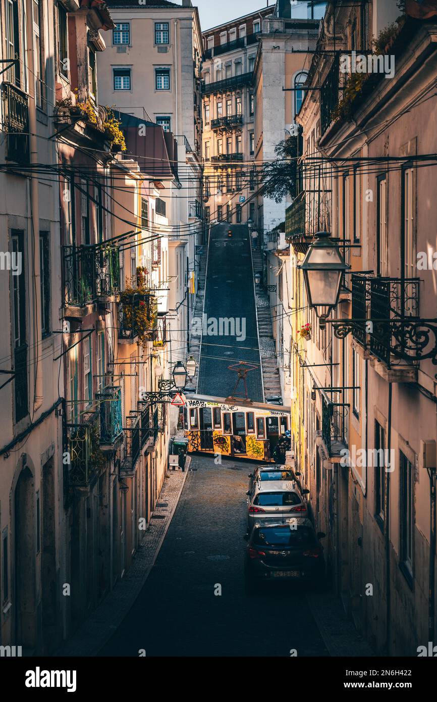House fronts, narrow streets, alleys and stairs, in a historic old town ...