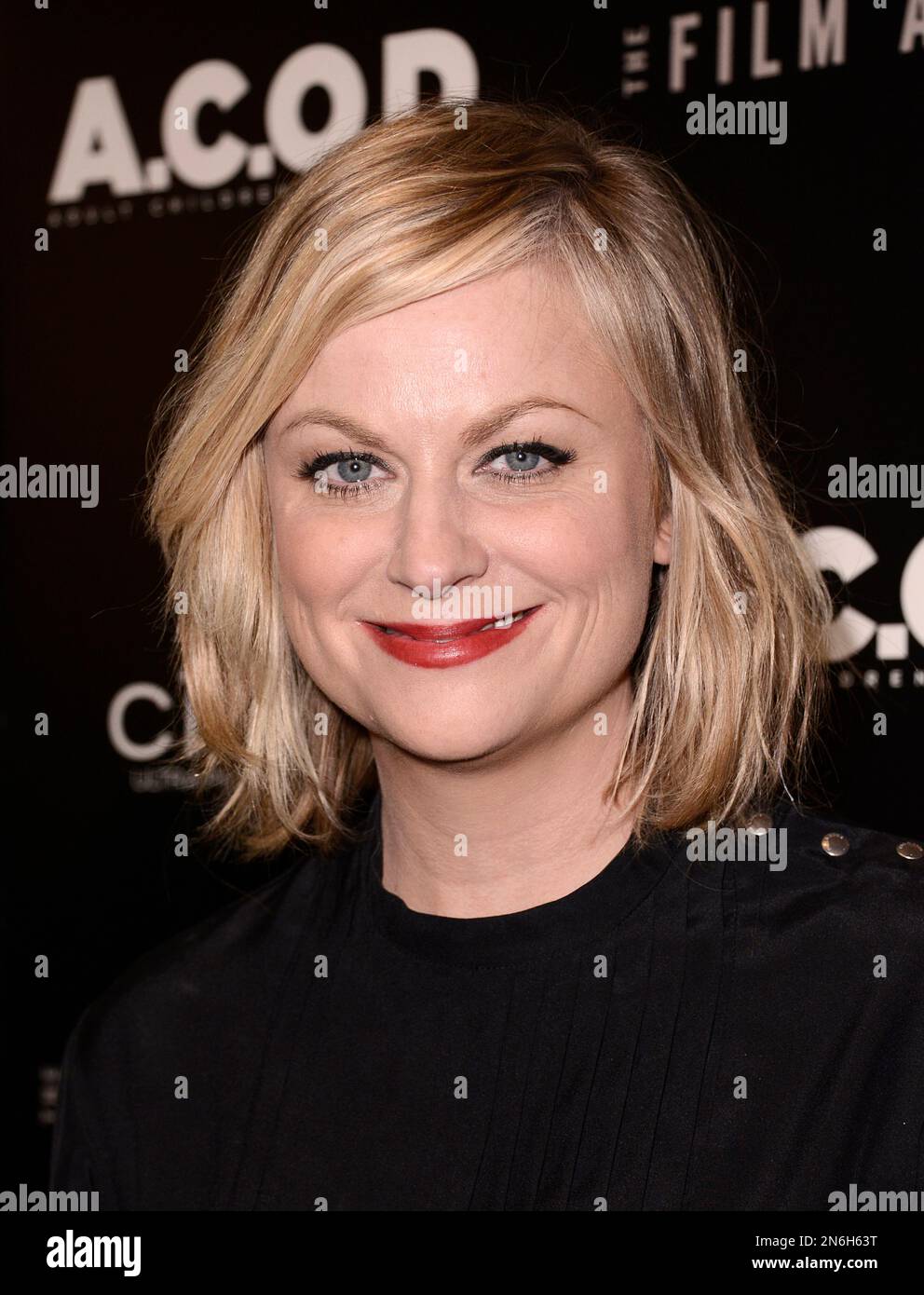 Actress Amy Poehler arrives on the red carpet at the premiere of the ...