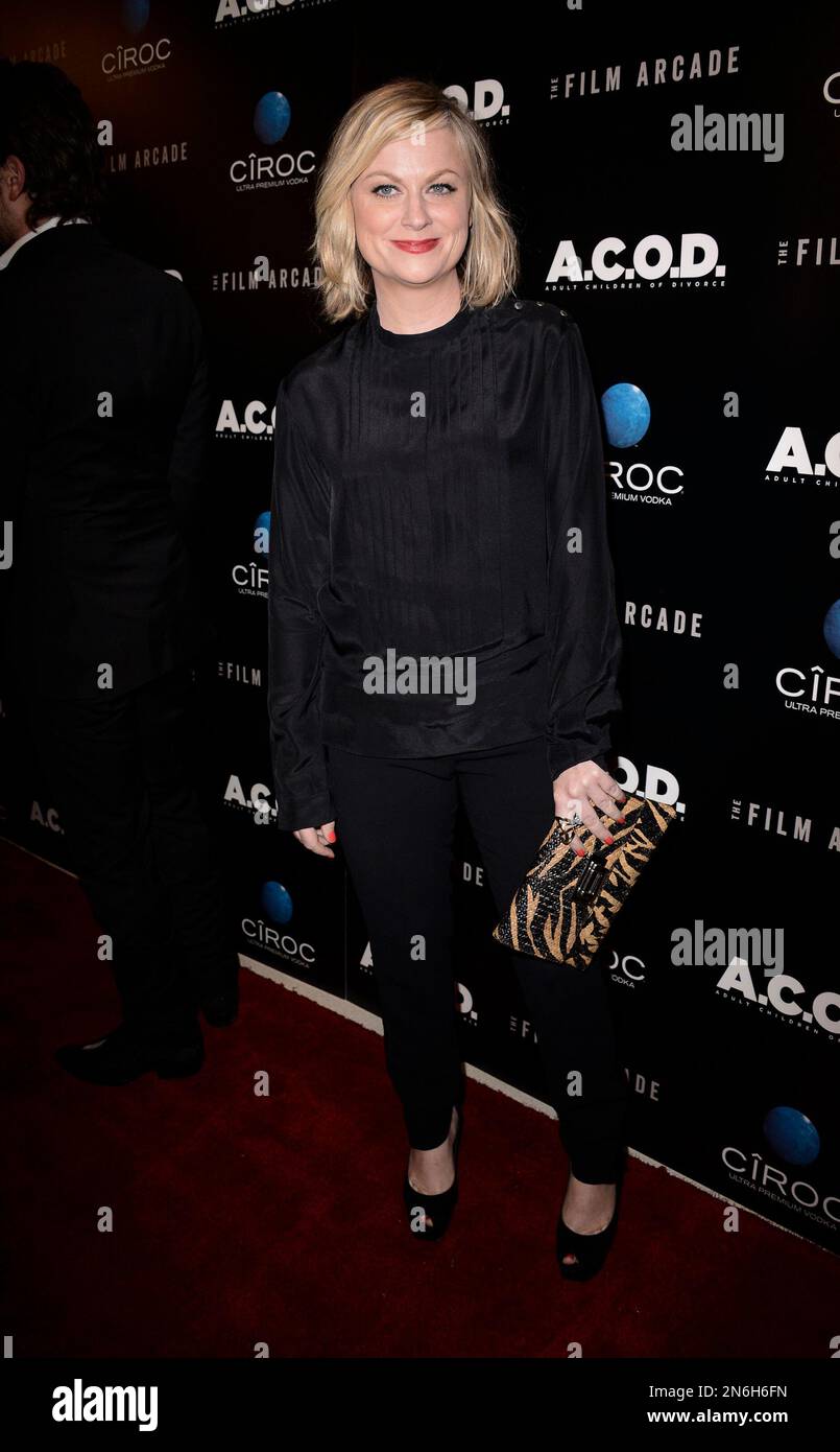 Actress Amy Poehler arrives on the red carpet at the premiere of the ...
