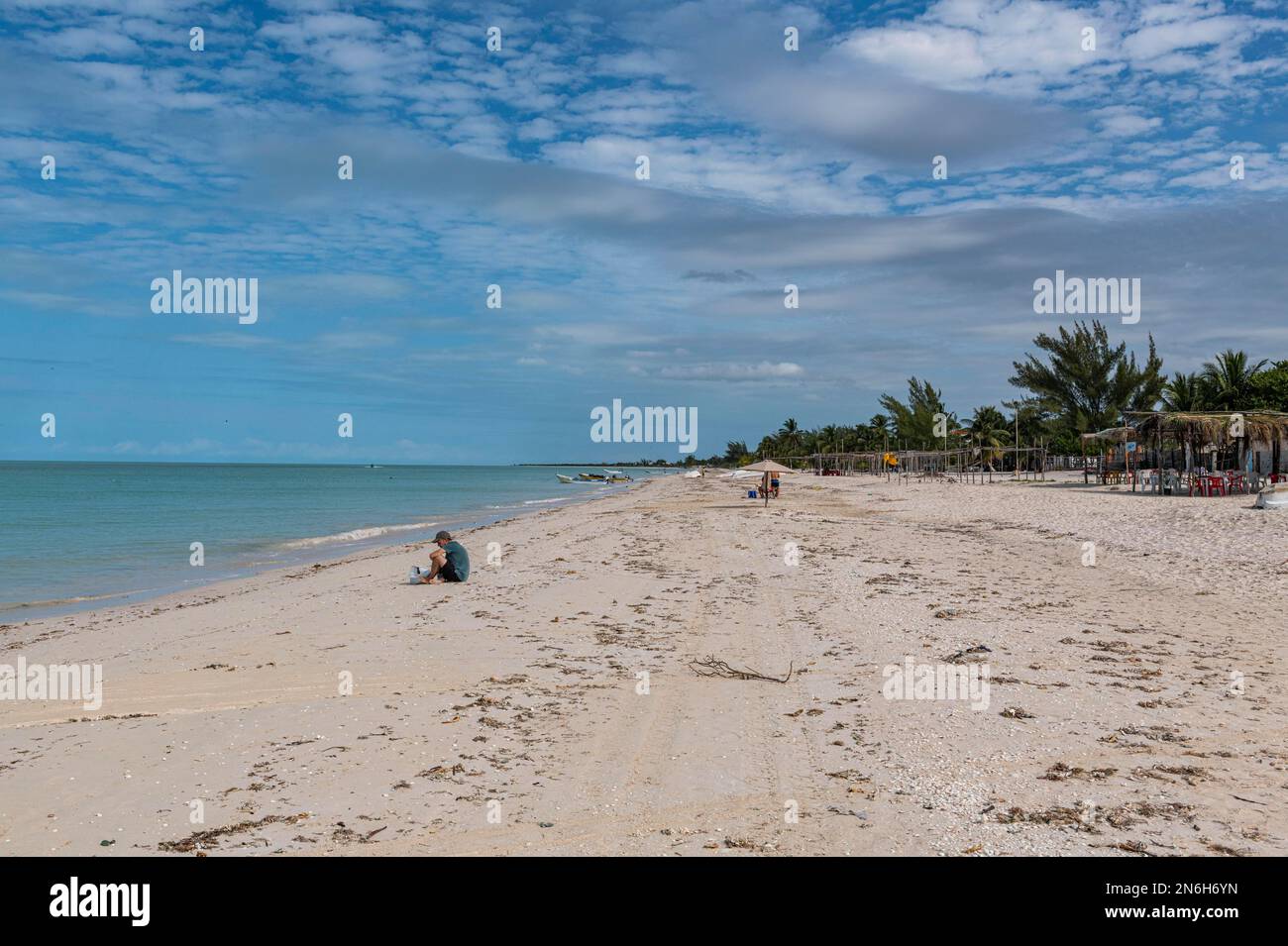 White sand beach in the Rio Celestun Unesco Biosphere Reserve, Yucatan ...