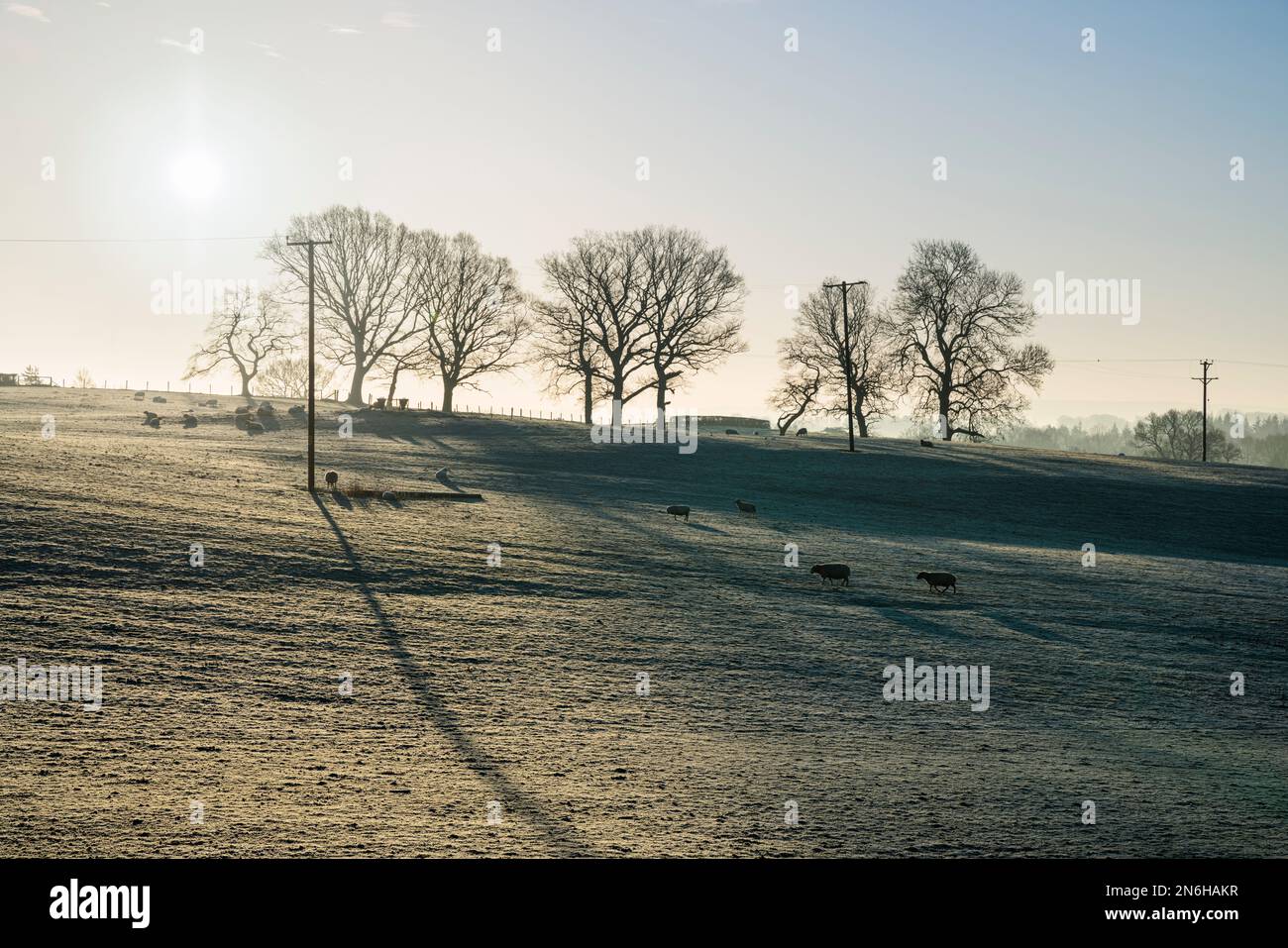 Sunrise frosty morning hi-res stock photography and images - Alamy