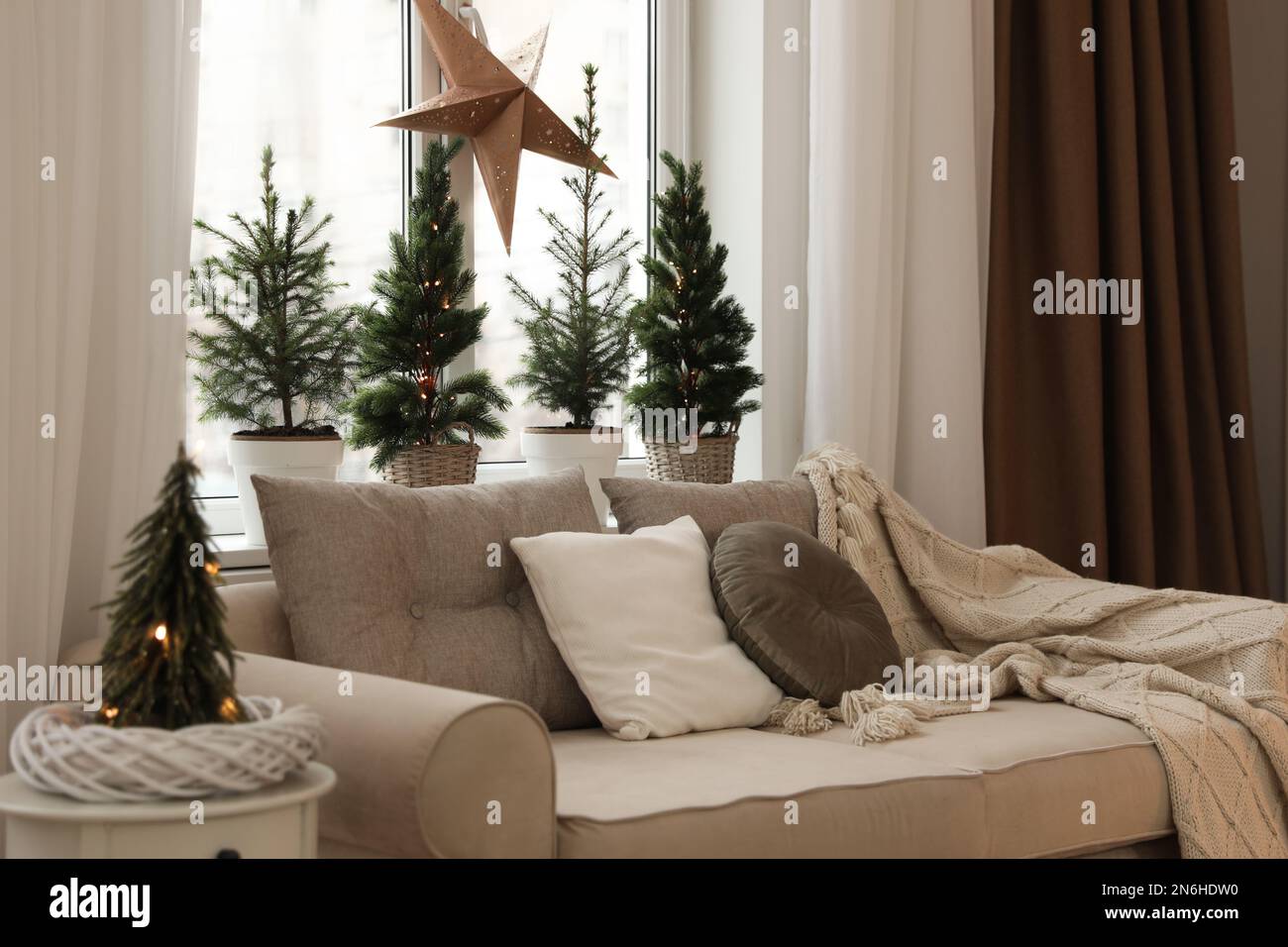 Sofa near window with small fir trees in room. Interior design Stock ...