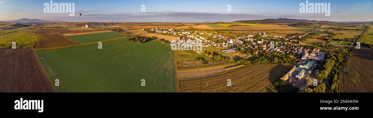 Hot air balloons over a village in the Tokaj wine region, Michalany ...