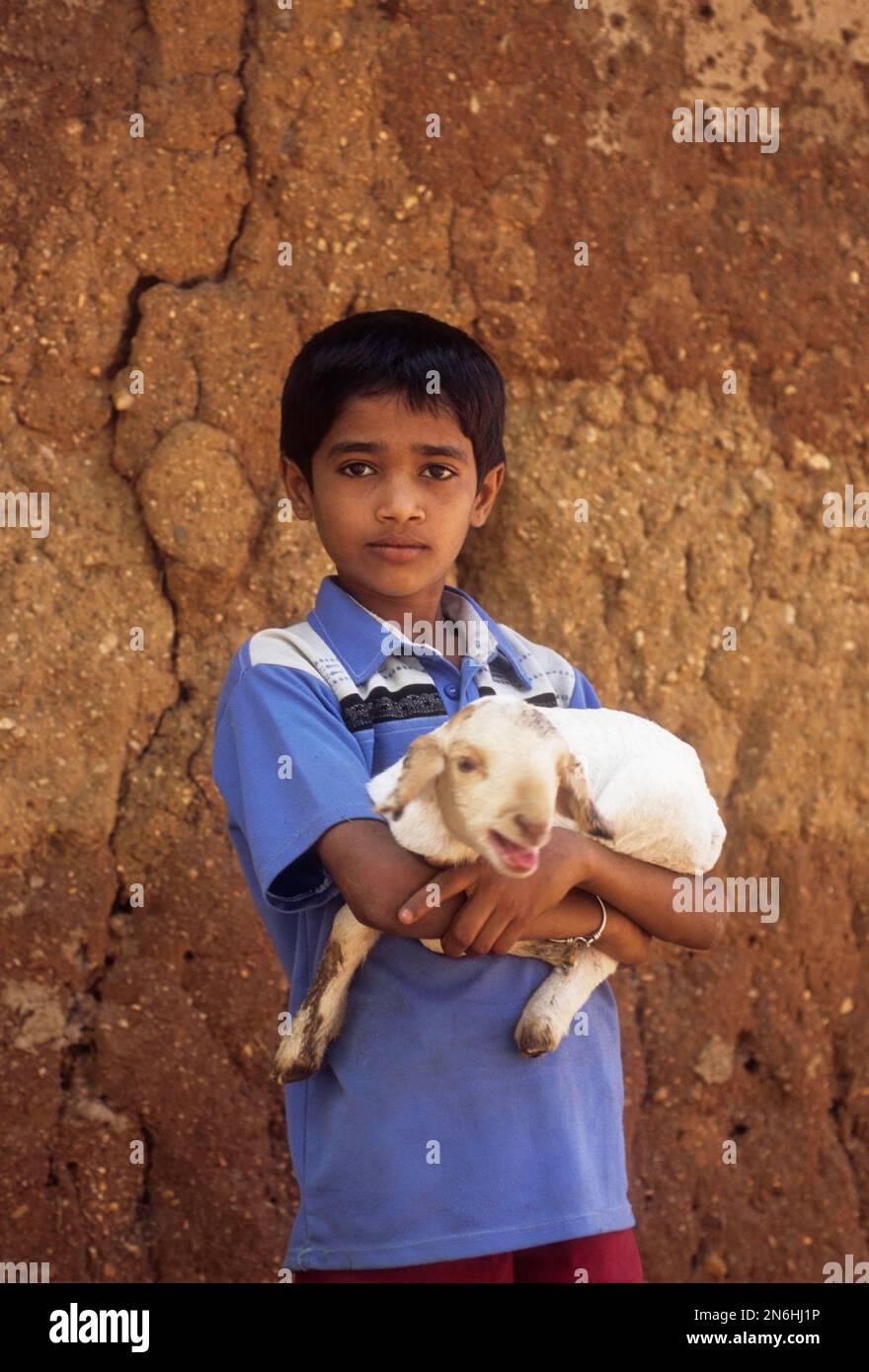 A boy with lamb, Karnataka, India Stock Photo - Alamy