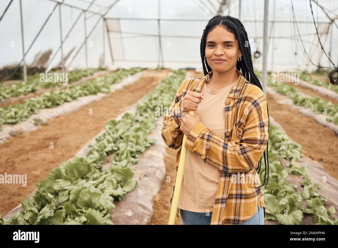 Black woman, farmer in portrait on farm and farming in greenhouse ...