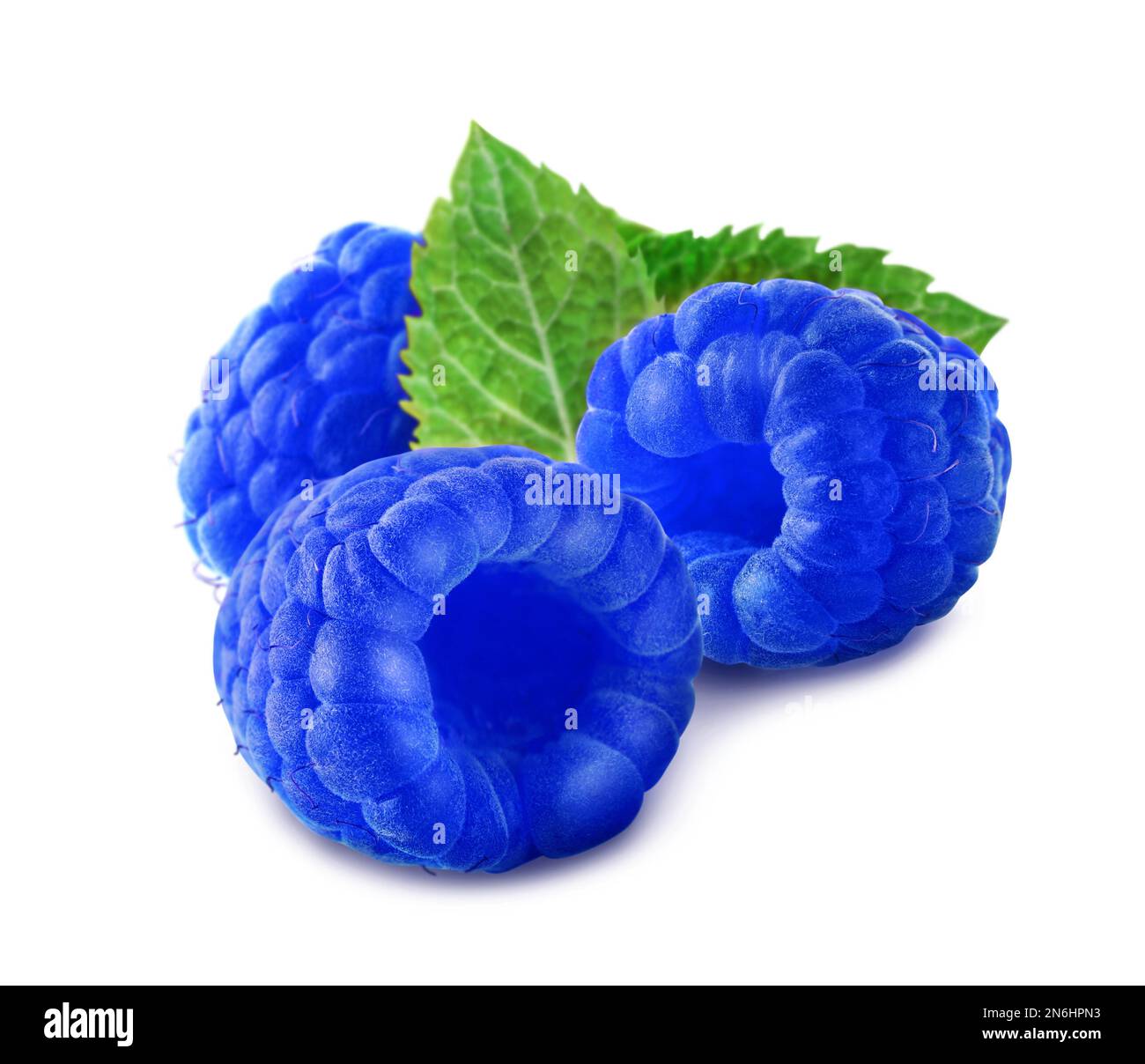 Fresh blue raspberries with green leaves on white background Stock ...