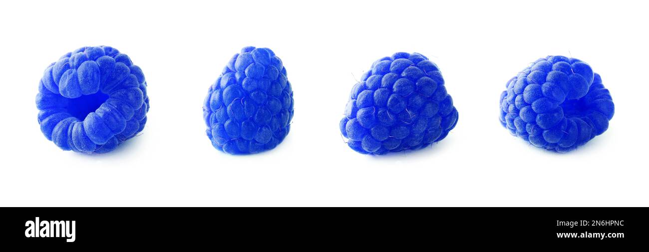 Set of fresh blue raspberries on white background, banner design Stock ...