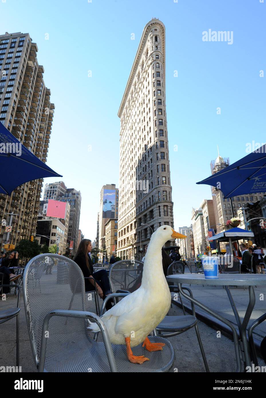 The Aflac Duck enjoys New York during Advertising Week, Monday, Sept ...