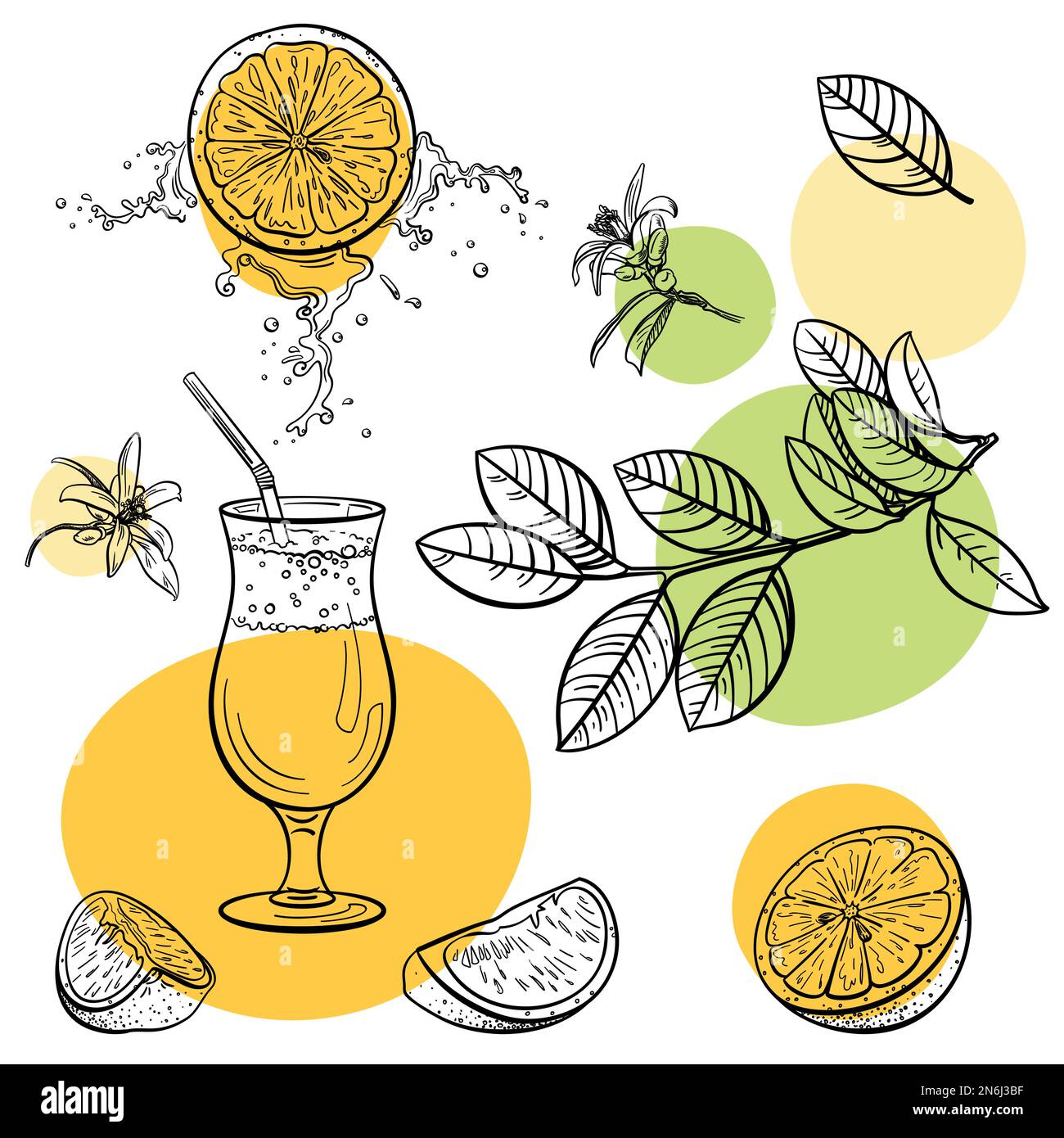 orange and its flowers with a branch and juice vector drawing on a ...