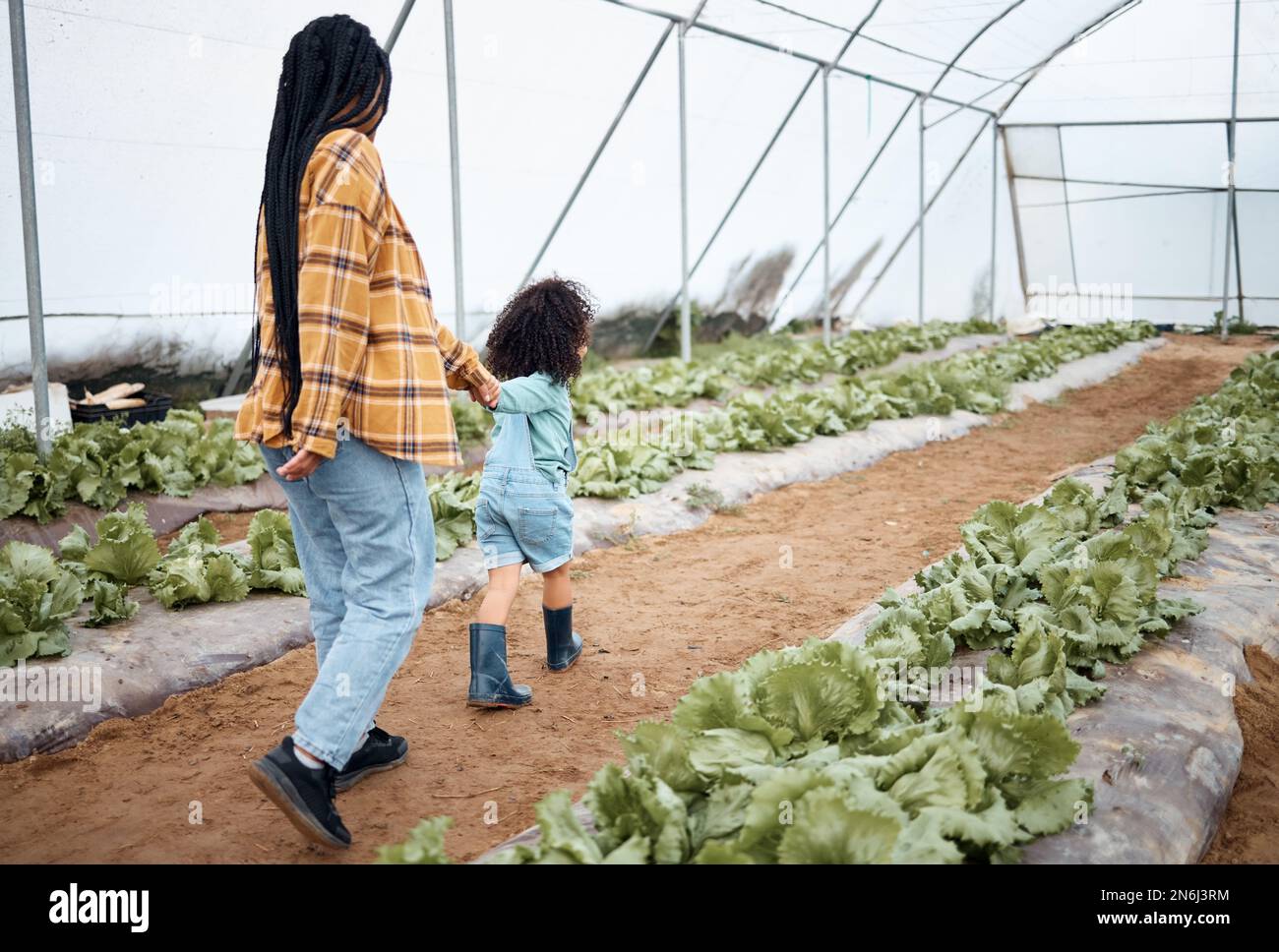 Agriculture, farm and mother with girl in greenhouse for gardening ...