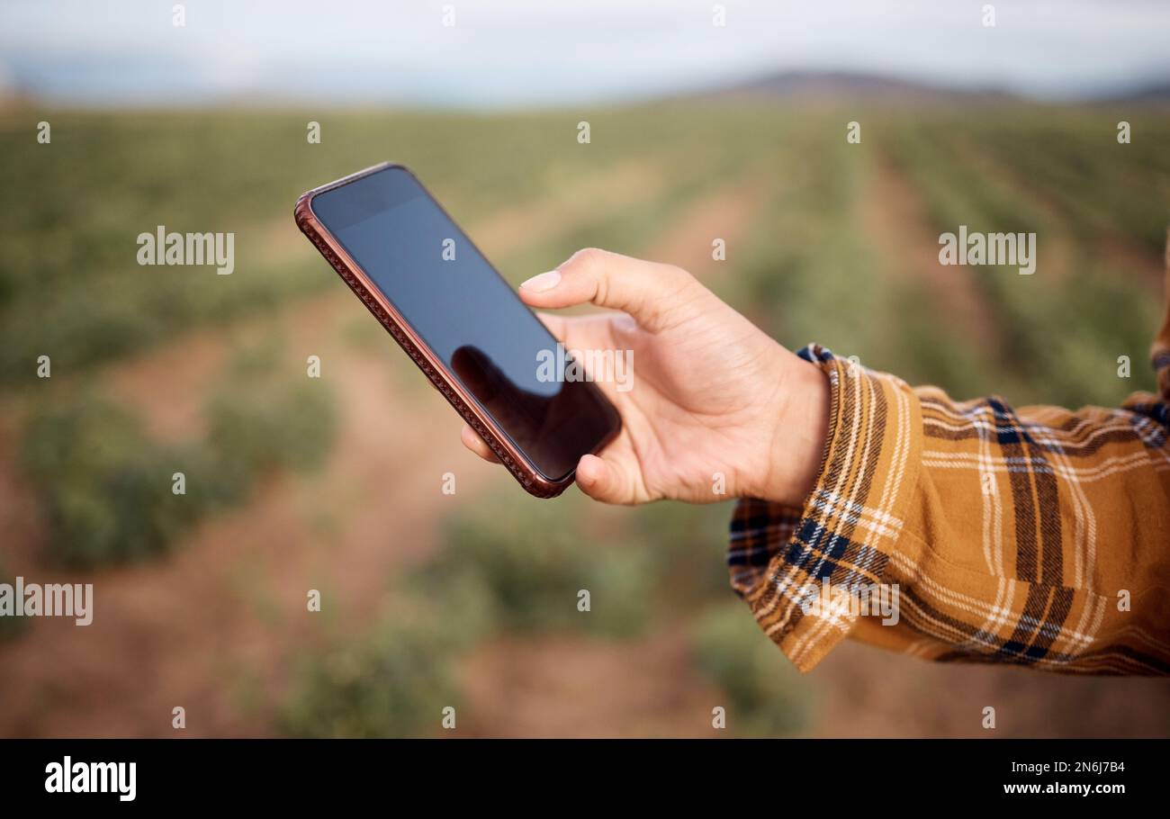 Phone, hands and farmer at farm typing, texting or web scrolling on ...