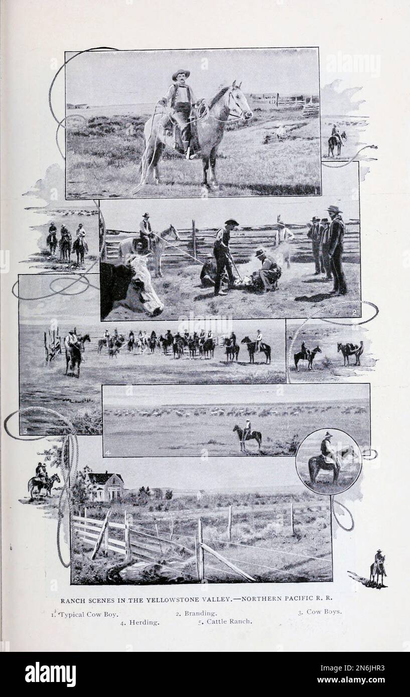 RANCH SCENES IN THE YELLOWSTONE VALLEY.— NORTHERN PACIFIC R. R. 1. Typical Cow Boy. 2. Branding ...