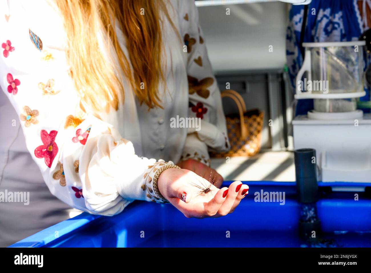 Fort Bay, Caribbean February 09, 2023, Princess Amalia of The ...