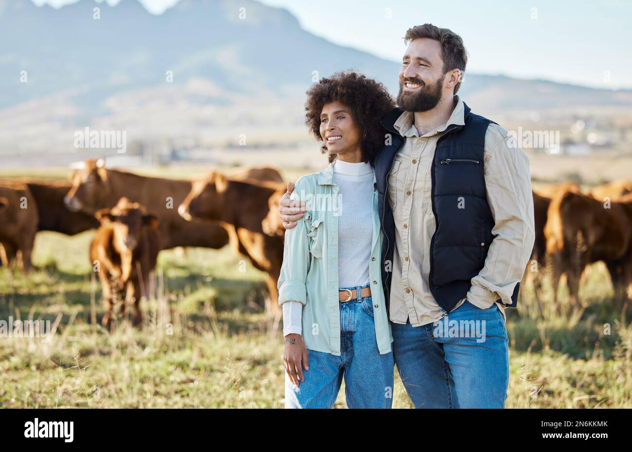 Happy, cow and relax with interracial couple on farm for agriculture ...