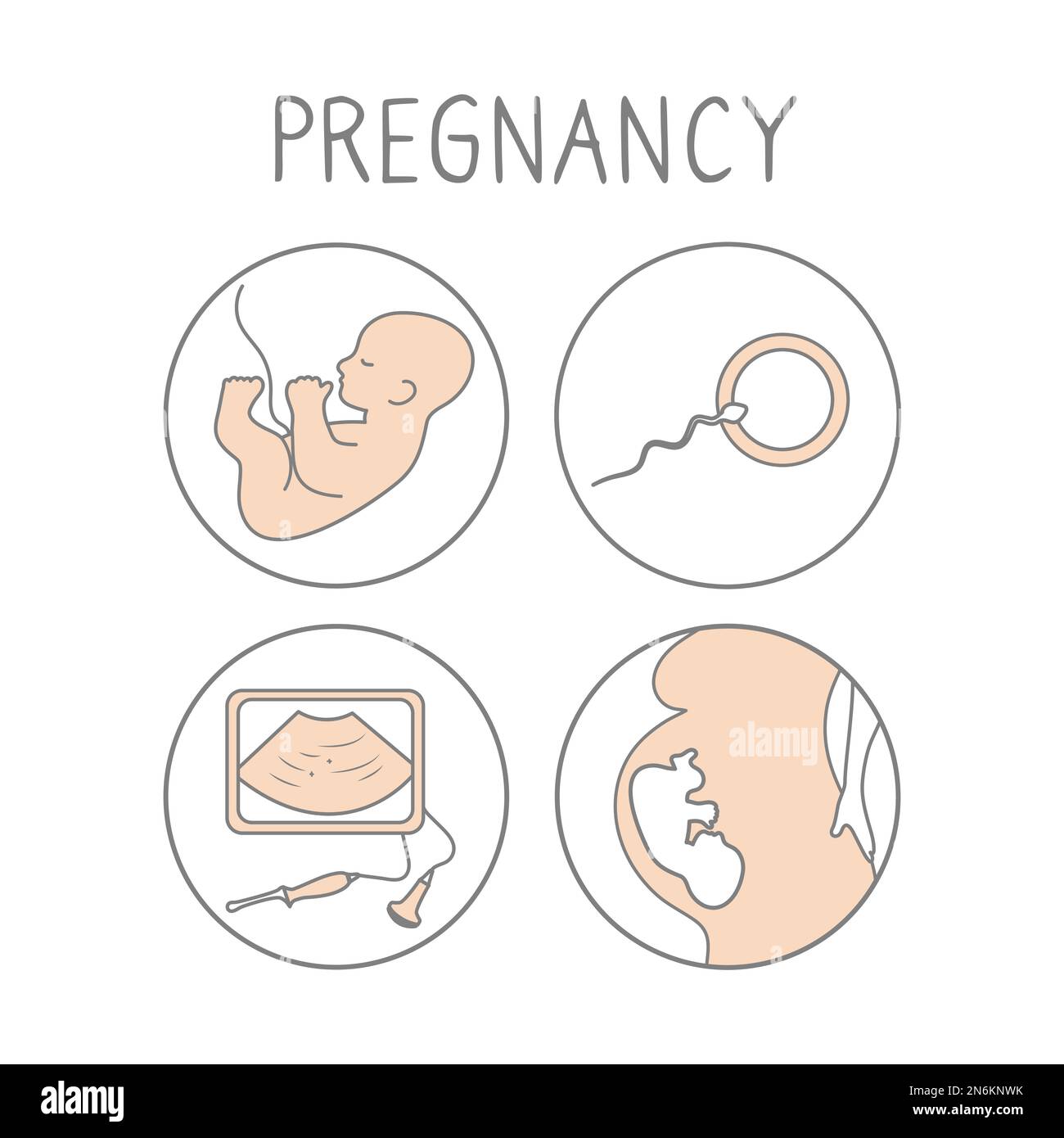 Pregnancy icon set. Linear simple illustration fertilization and ...