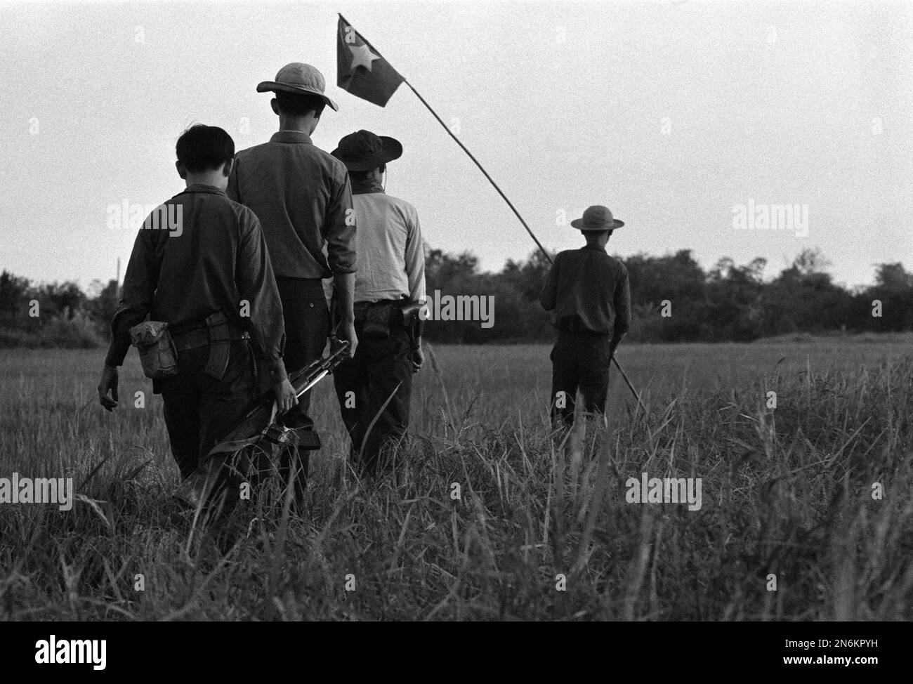 Carrying a Viet Cong flag, guerrillas cross open rice paddies while ...