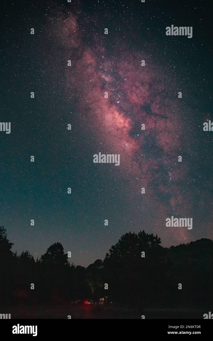 A landscape of silhouette trees with vista scene sky in the desert of ...