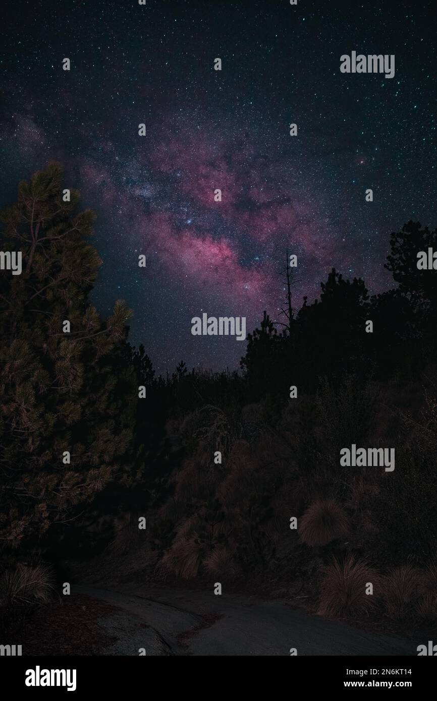 A landscape of silhouette trees with a vista scene sky at night in the ...