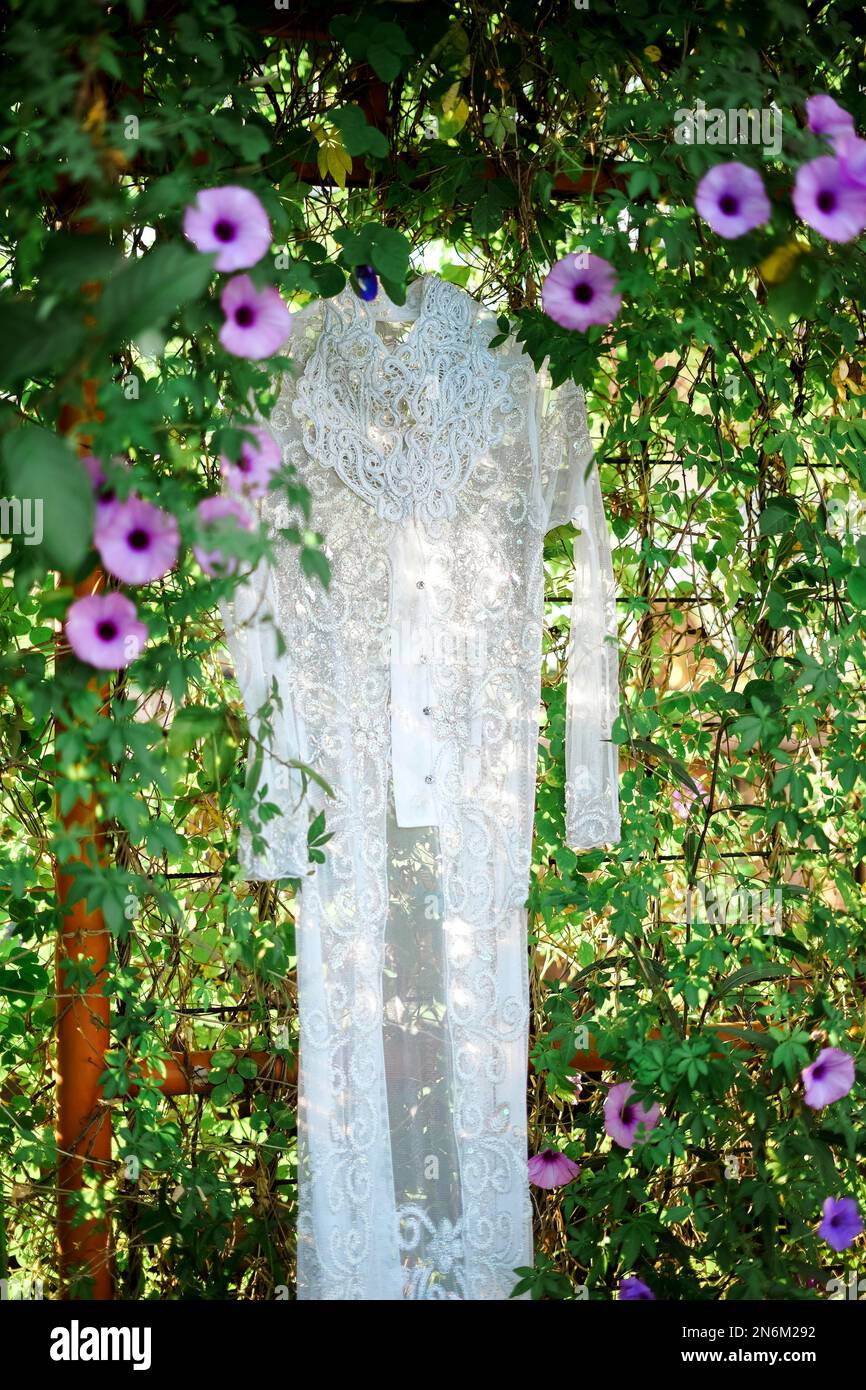 White wedding dress hanging in a tree Stock Photo - Alamy