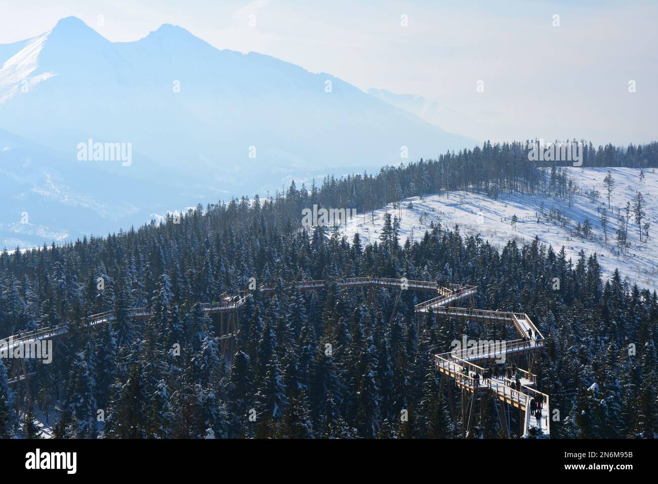 The treetop walk Bachledka in Bachledova valley in Slovakia. Scenic ...