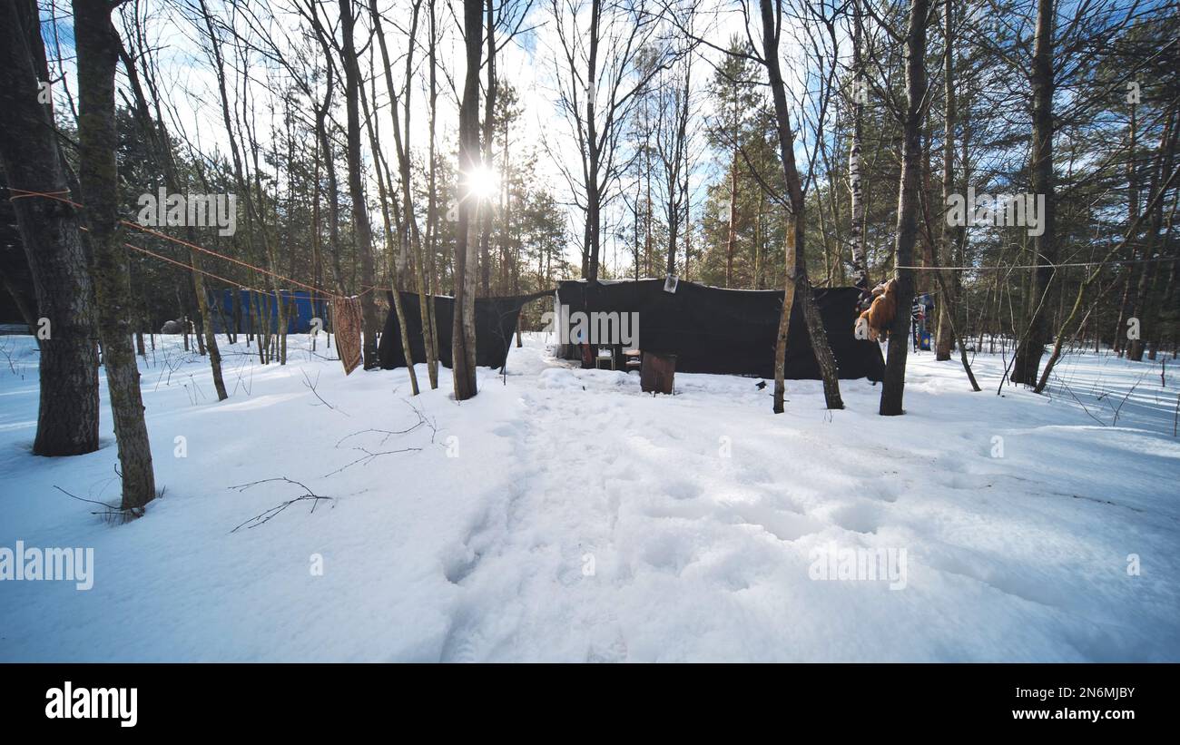 A hut of homeless people in the woods in winter Stock Photo - Alamy