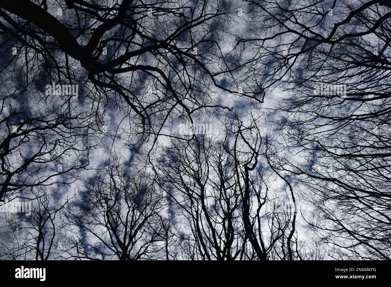 Patterns in the sky Stock Photo - Alamy
