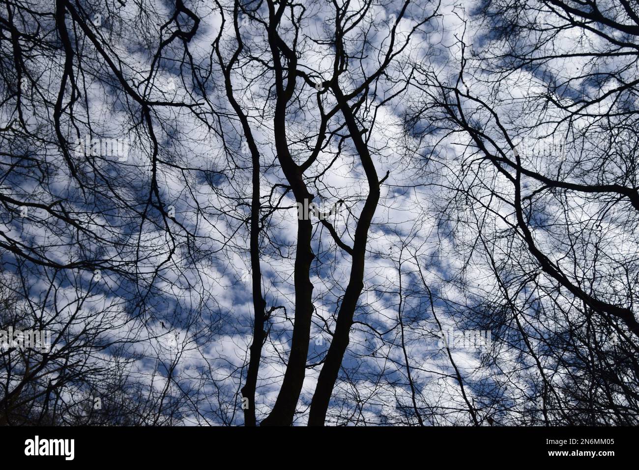 Patterns in the sky Stock Photo - Alamy